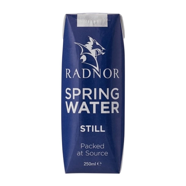 Radnor Still Spring Water Tetra Pak 250ml (24 Pack) - HP975 - Nisbets